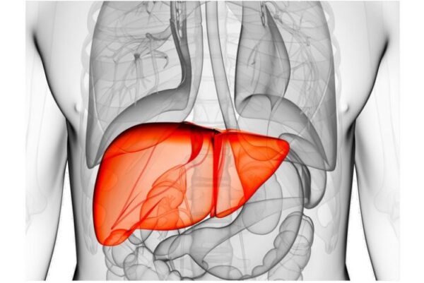 Hepatobiliary Interventions Radiology Treatment By Dr. Trupti Mehta